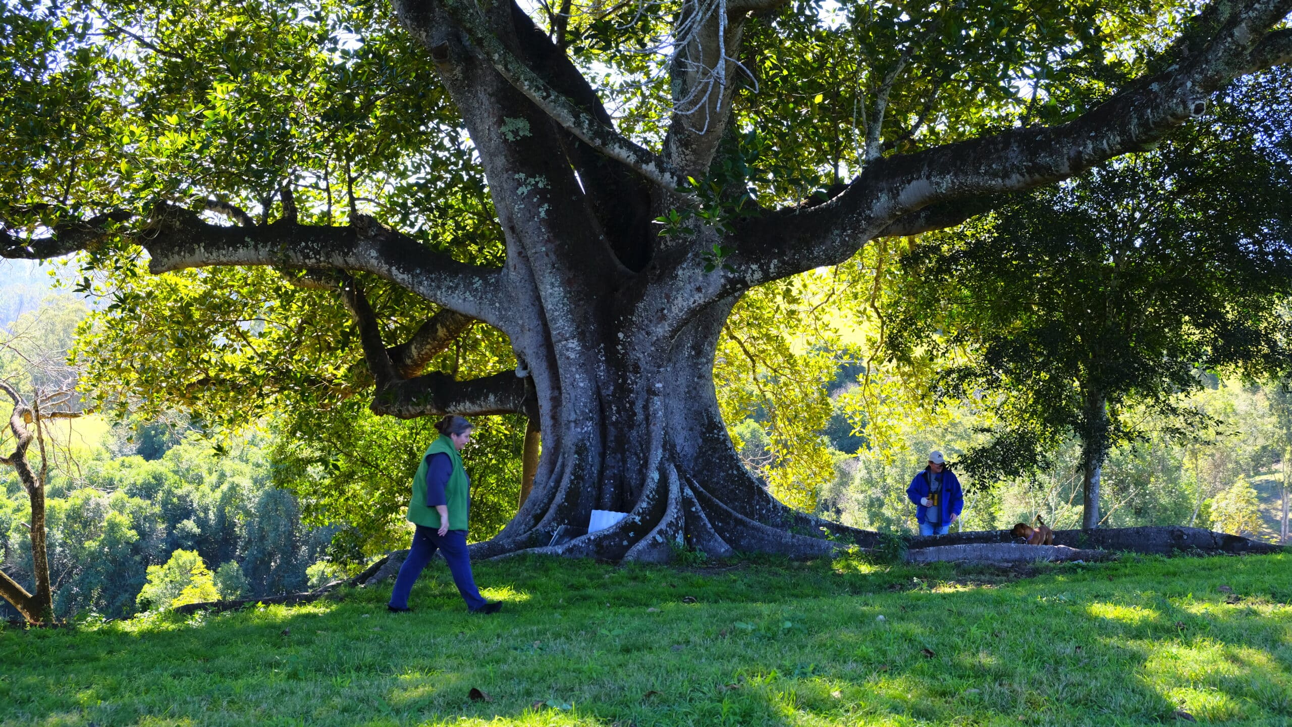 Contact | Knorrit Flat